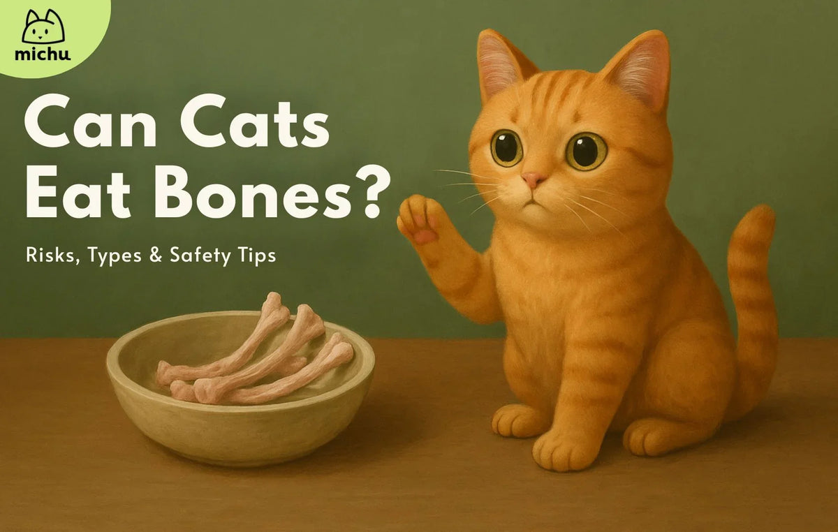 Do Cats Eat Bones and Is It Safe for Their Health – Michu Australia