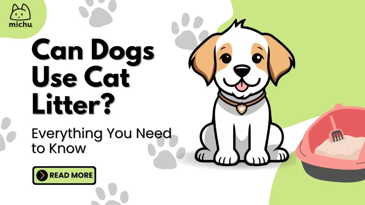 Can Dogs Use Cat Litter? Everything You Need to Know – Michu Australia