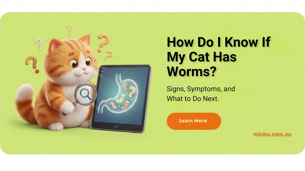 Signs Your Cat Has Worms & What To Do Next – Michu Australia