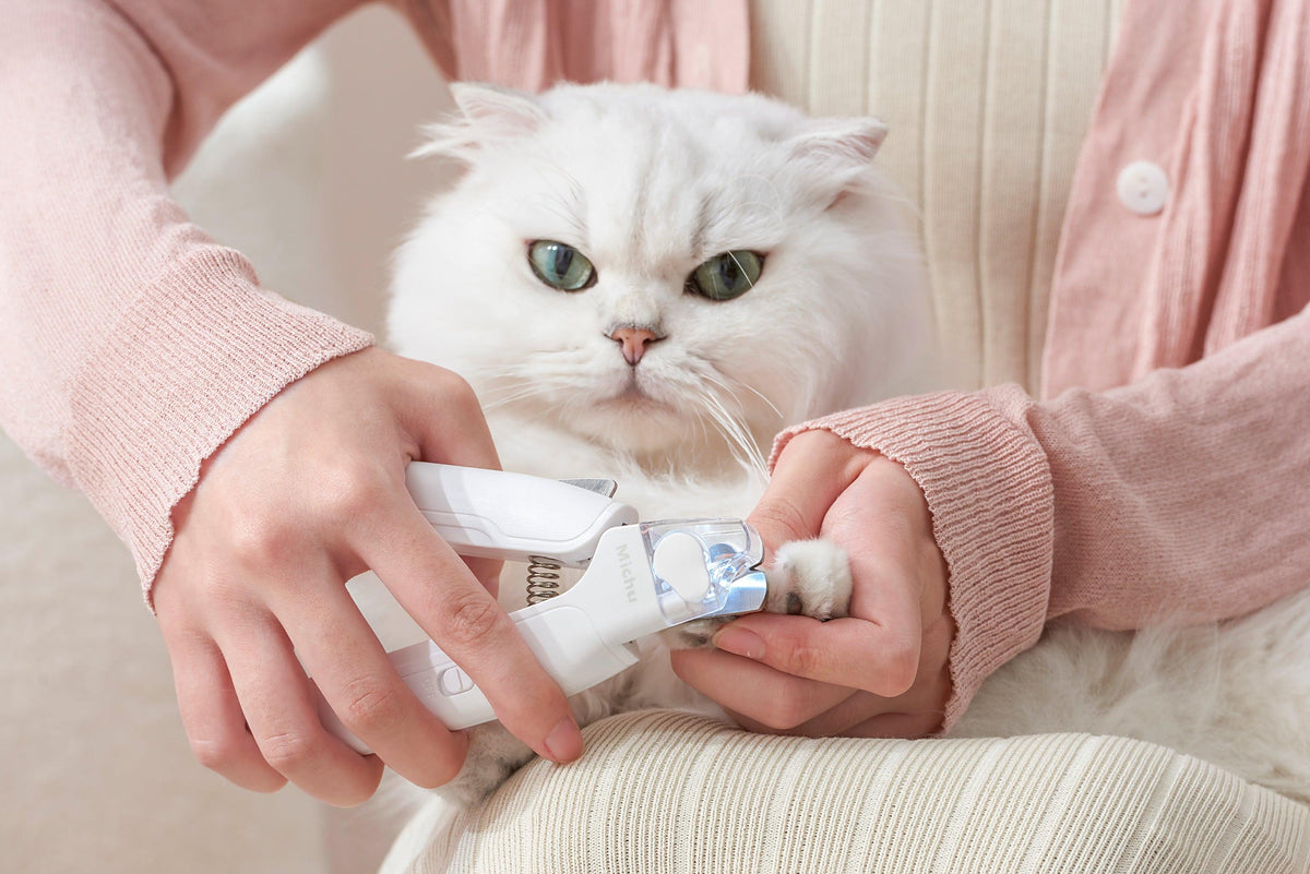 Nail Trimming for Cats: Essential Tips for Health and Safety – Michu ...