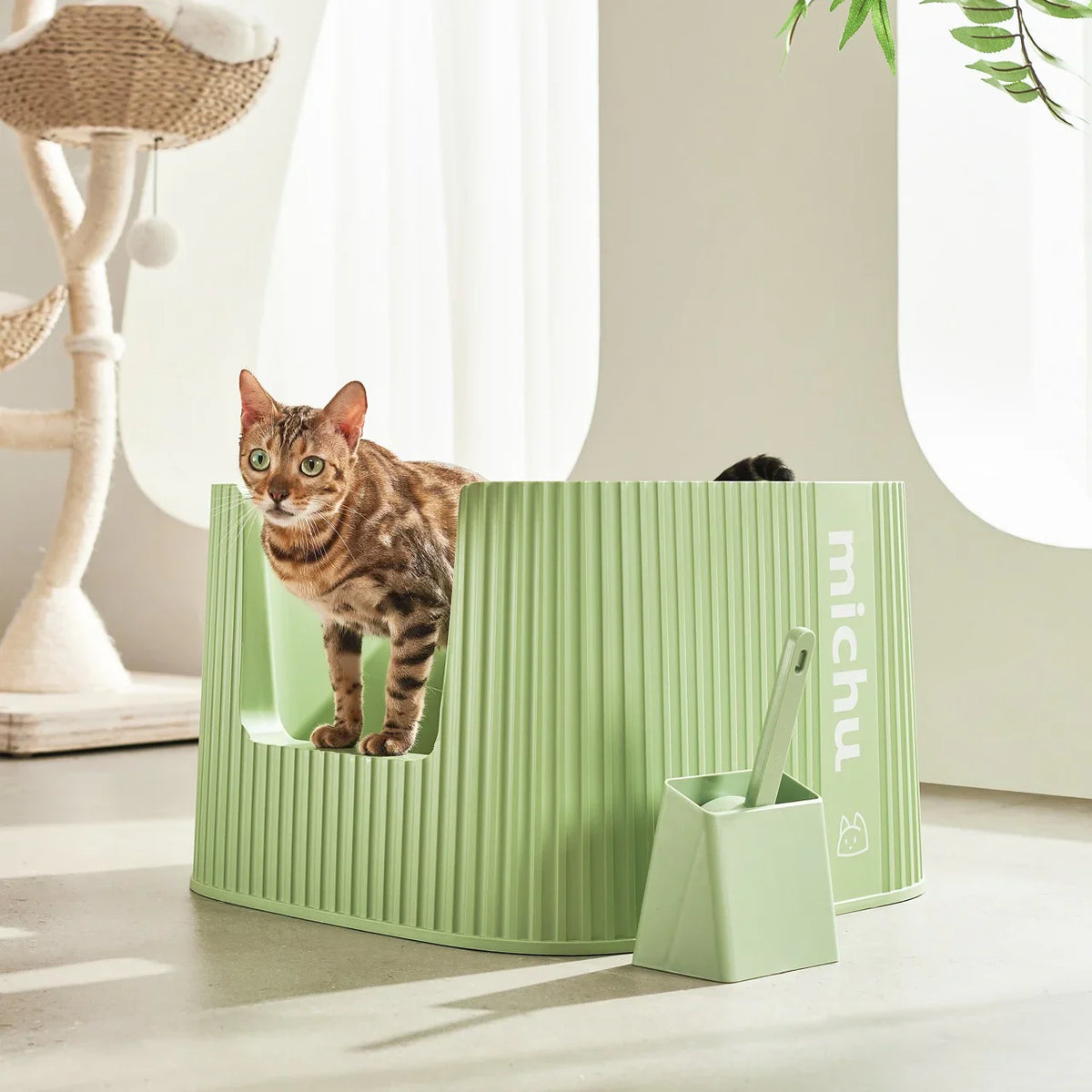 Michu XXL Sage Deluxe Cat Litter Box - Spacious Design – Michu Australia