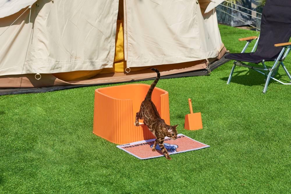 Michu XXL Coral, BoBa, Sage & Stella ... | Michu Australia Cat Products